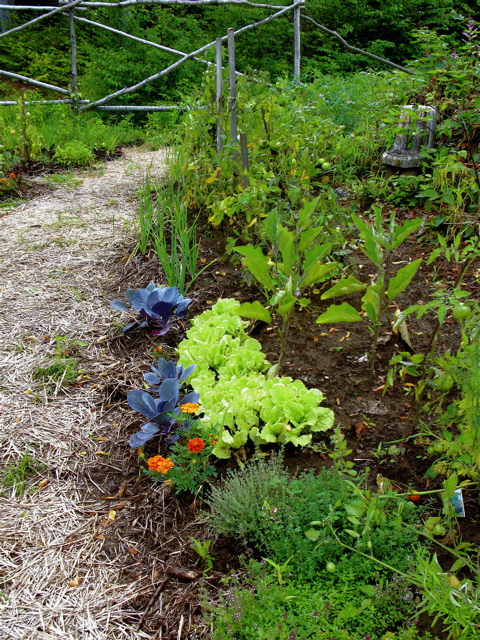 Potager & Recipes – The Gardener's Eden